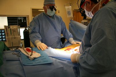 באשפוז פסיכיאטרי ההורים יכולים לבוא לבקר את המטופל?